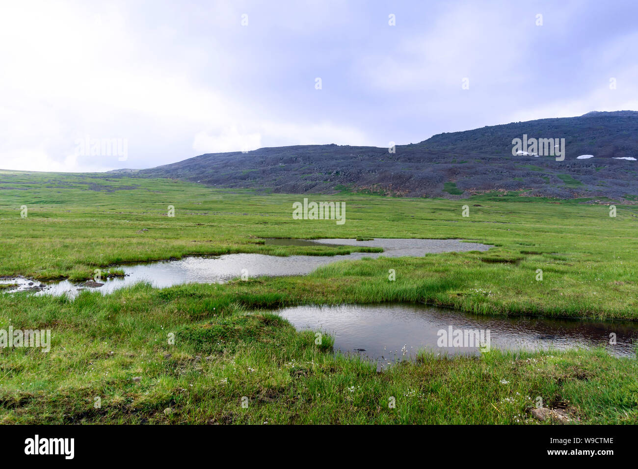 Raised bog with an open water lake in the mountain tundra Stock Photo ...