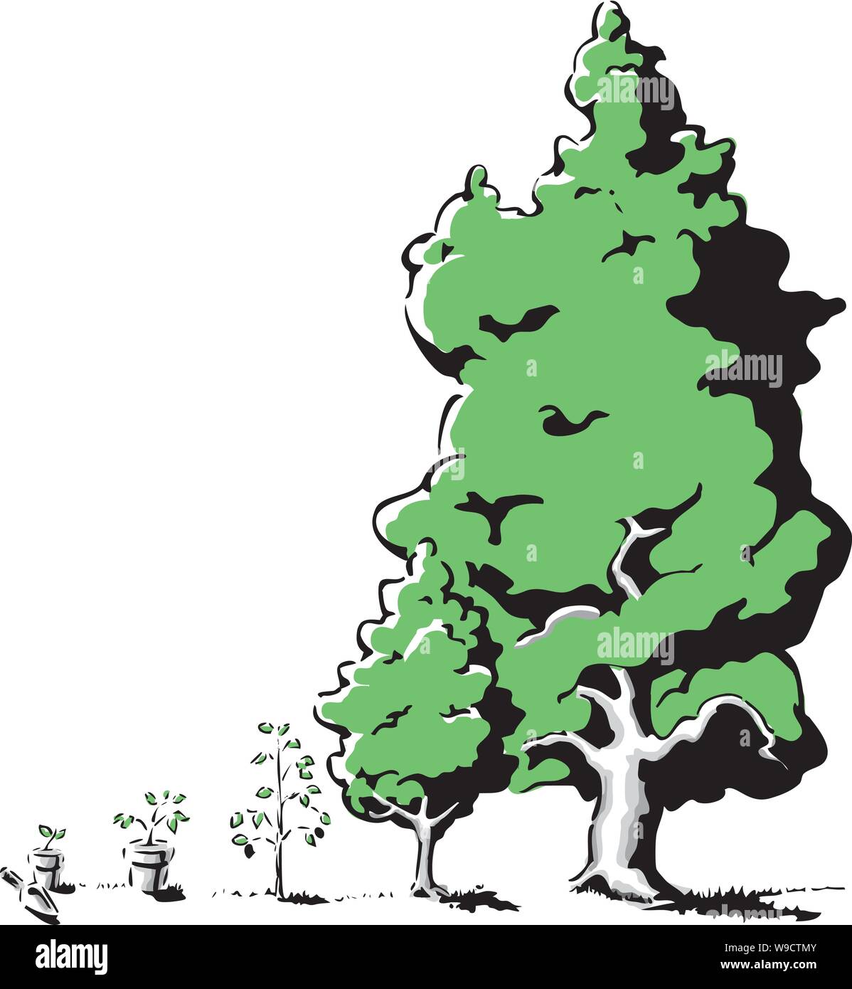 Tree life cycle diagram hi-res stock photography and images - Alamy
