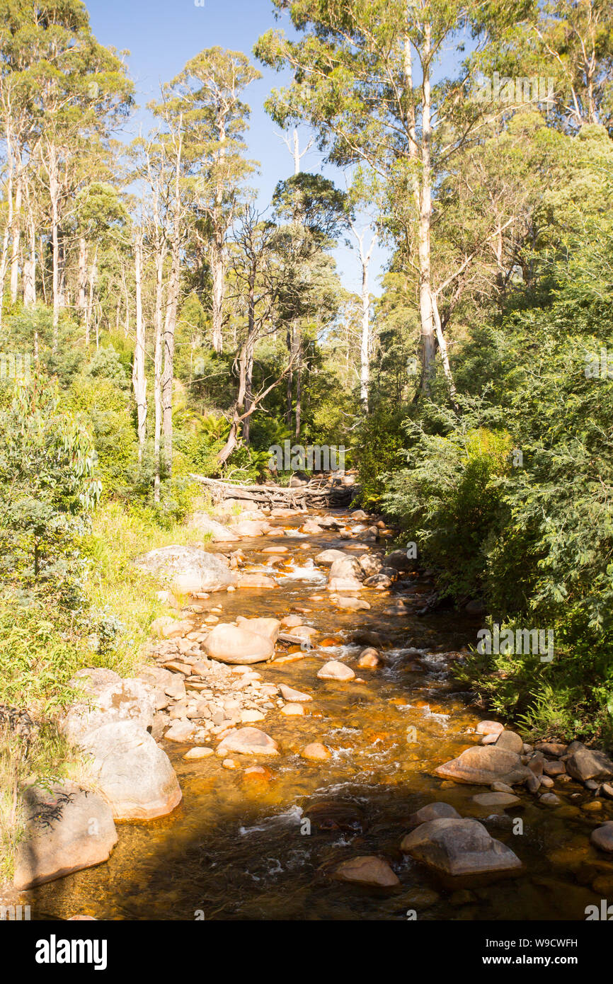 Delatite river trail hi-res stock photography and images - Alamy