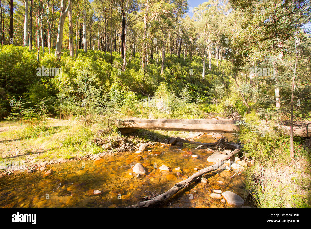 Delatite River Trail at Mt Buller Stock Photo - Alamy