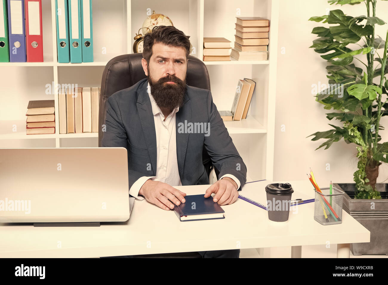 Office routine. Businessman in charge of business solutions. Developing ...