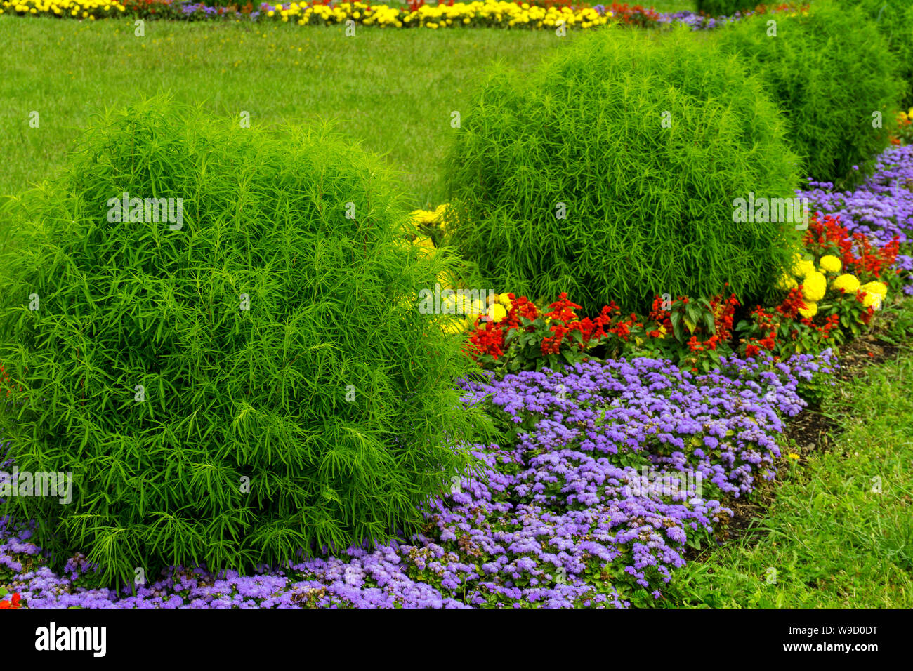landscape design with a flower bed and bushes Stock Photo - Alamy