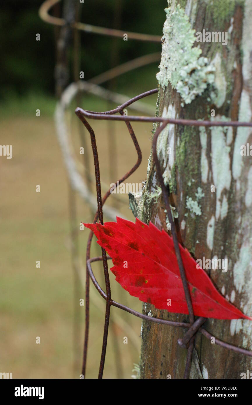 Red Hand Rail High Resolution Stock Photography and Images - Alamy