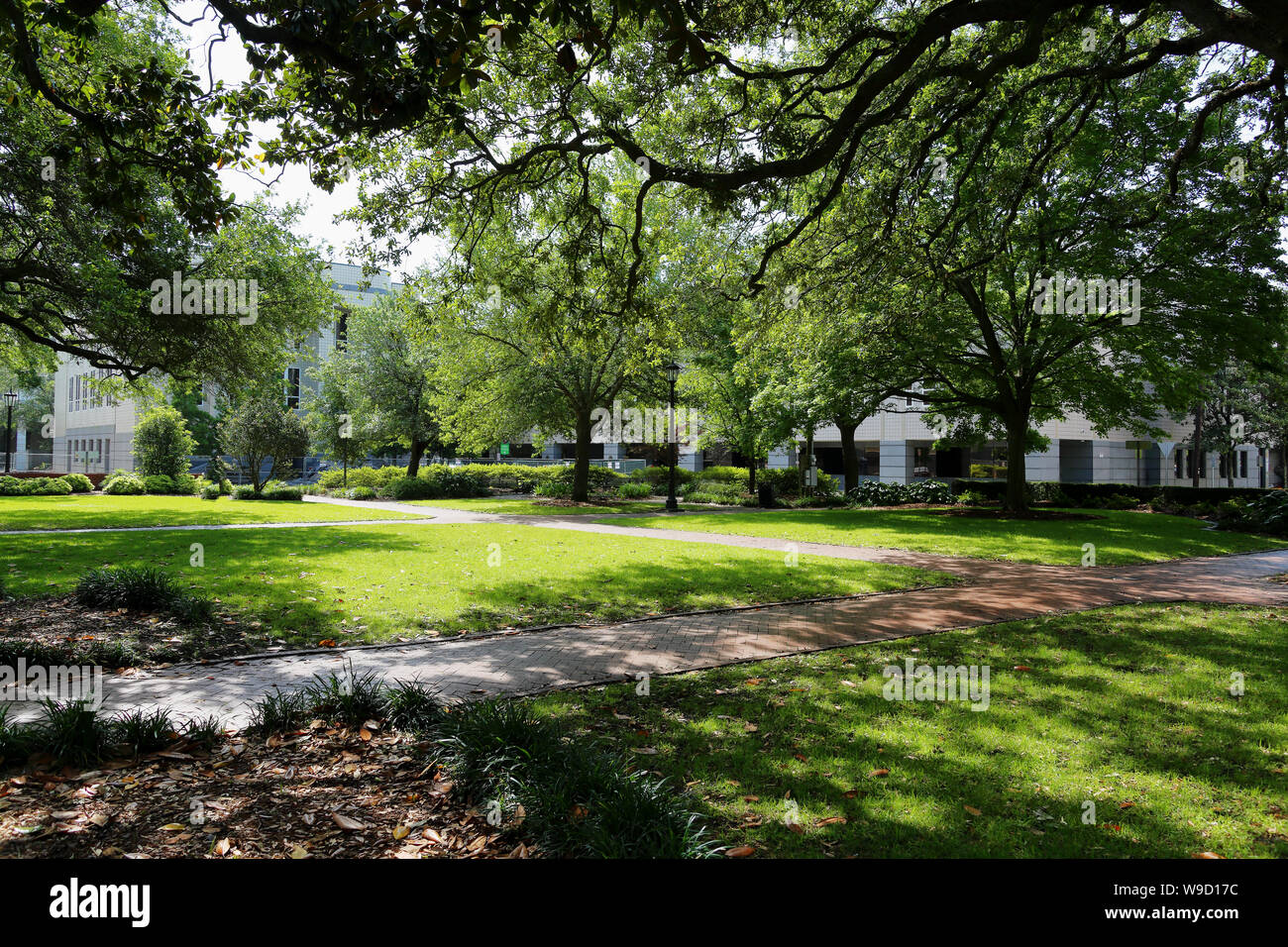 A view of Wright Square, Savannah Georgia with large overhanging oaks ...