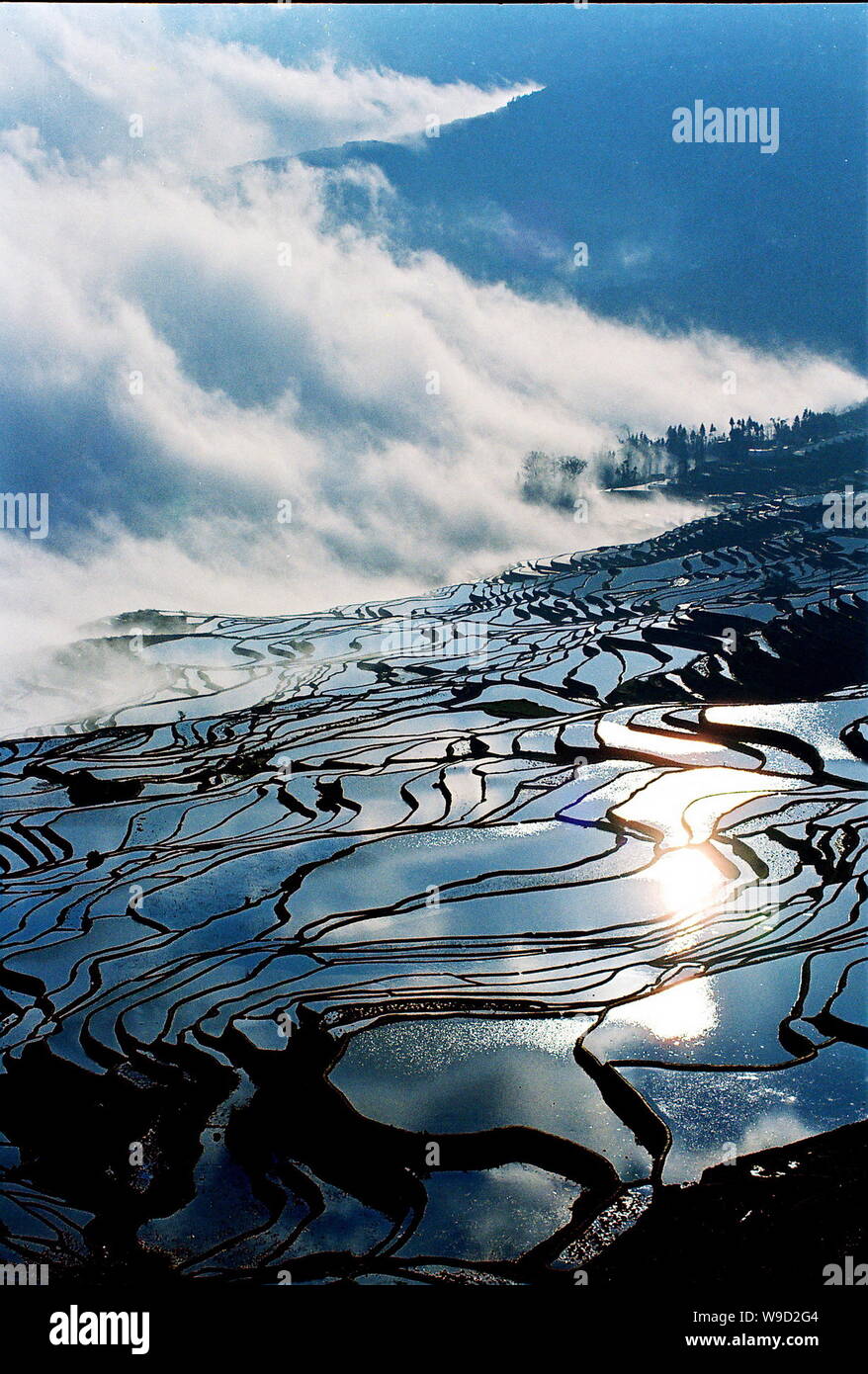 --FILE-- Landscape of terraced rice fields in Yunyang county, southwest ...