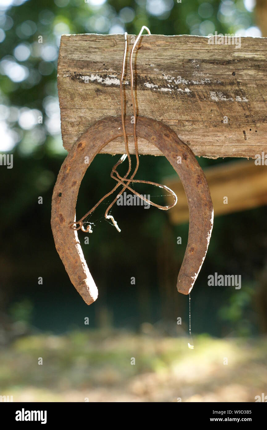 Equestrian themed house hi-res stock photography and images - Alamy