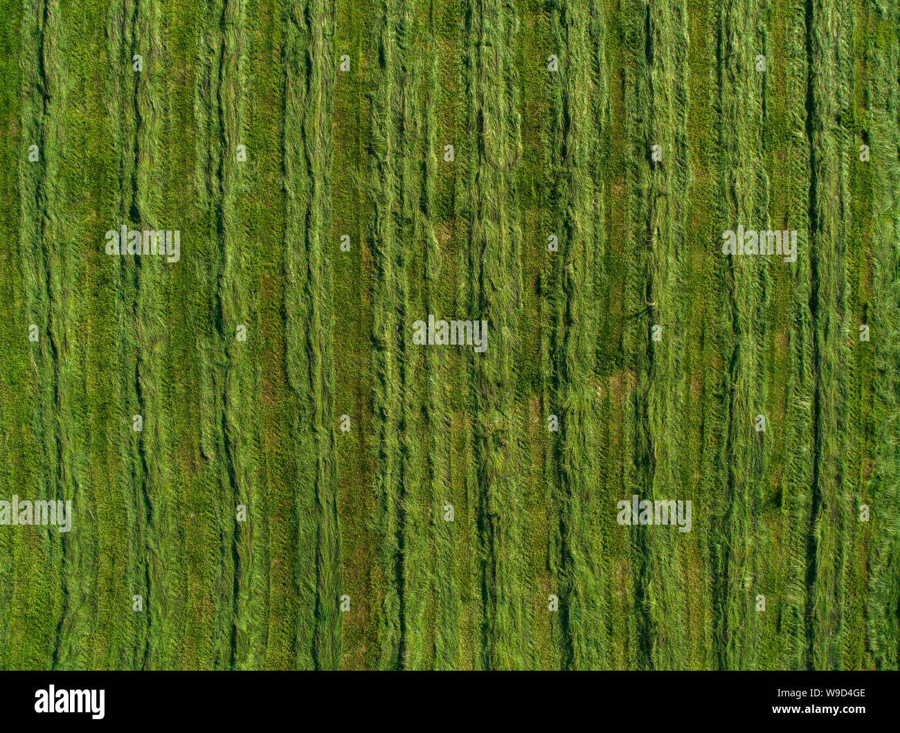 Newly shot hi-res stock photography and images - Alamy