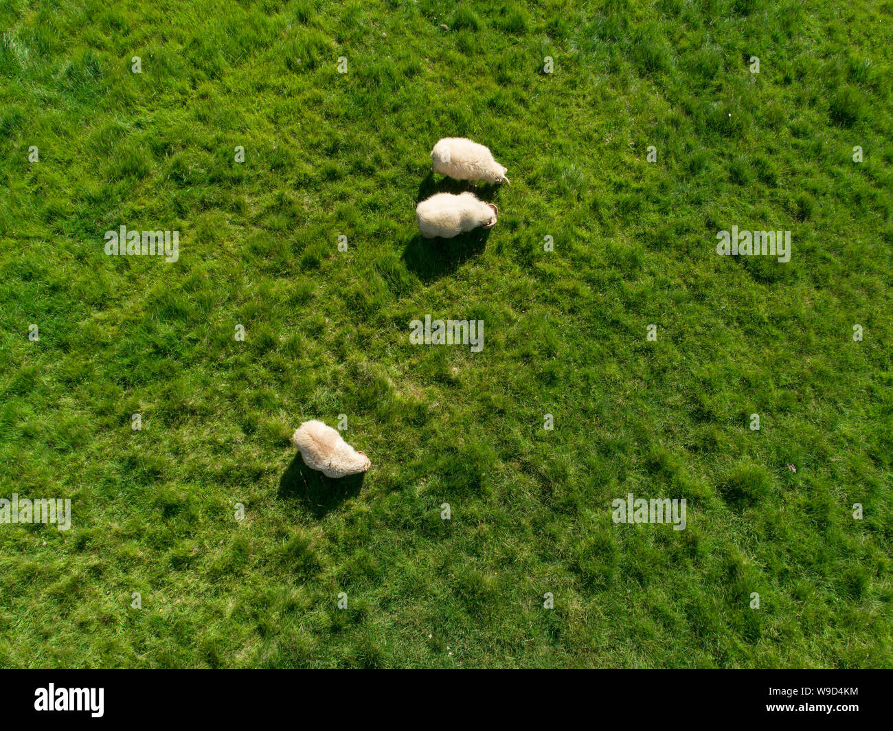 Simple stock shot hi-res stock photography and images - Alamy