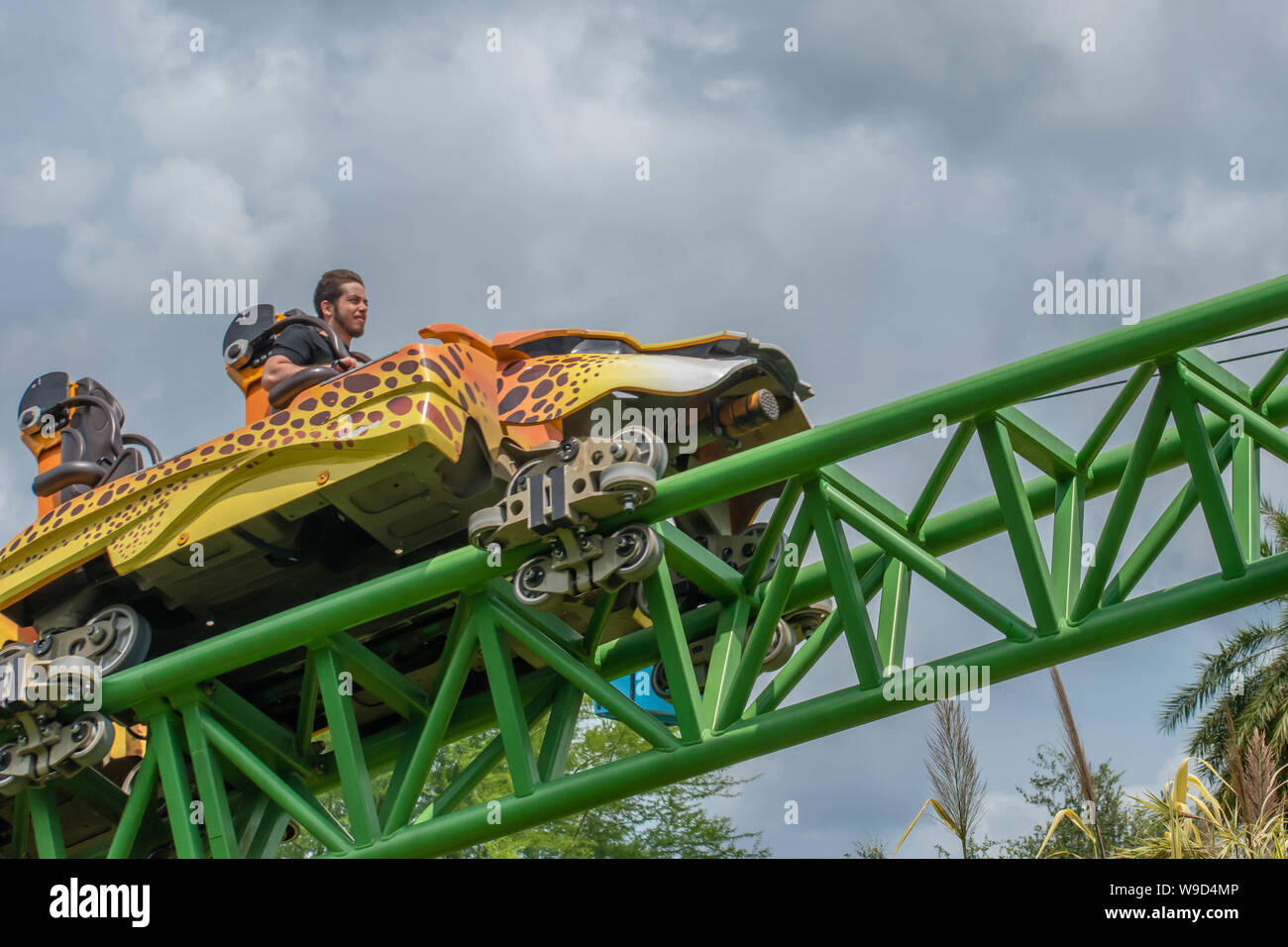 Tampa Bay, Florida. August 08, 2019. People enjoying terrific Cheetah ...