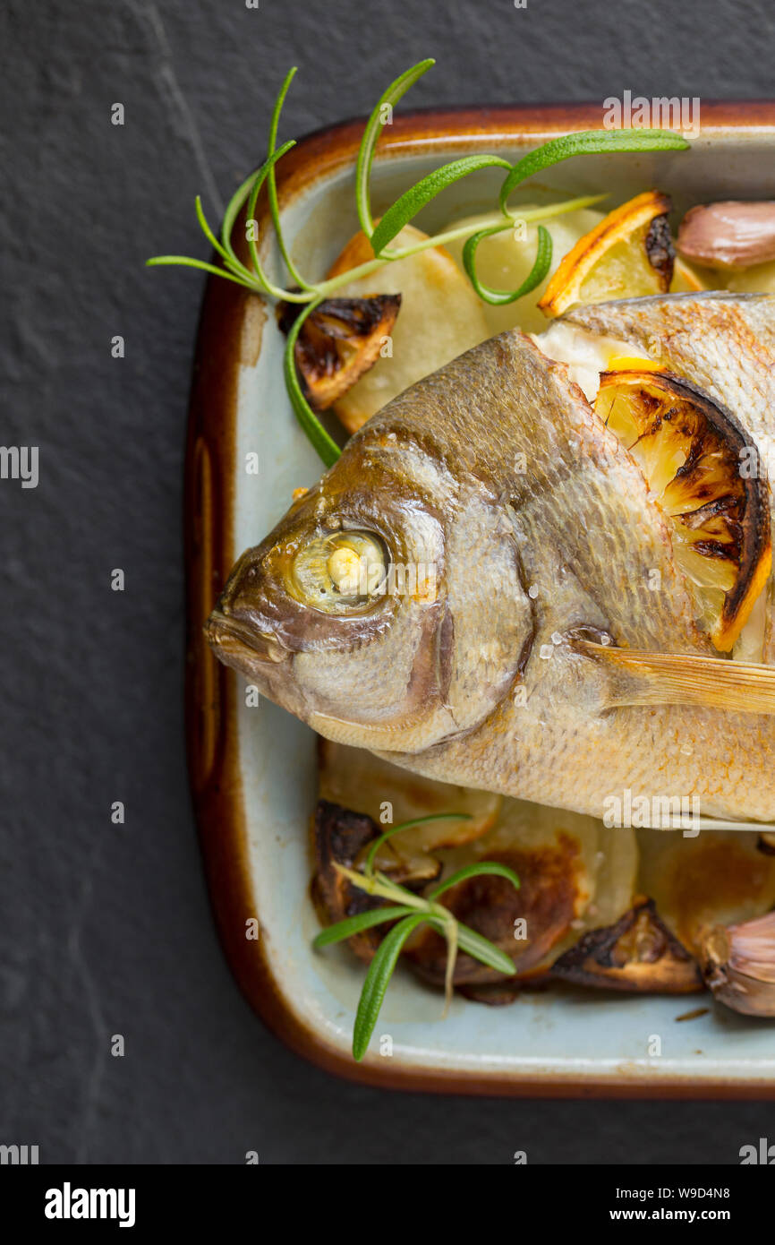 Black bream english channel hi-res stock photography and images - Alamy