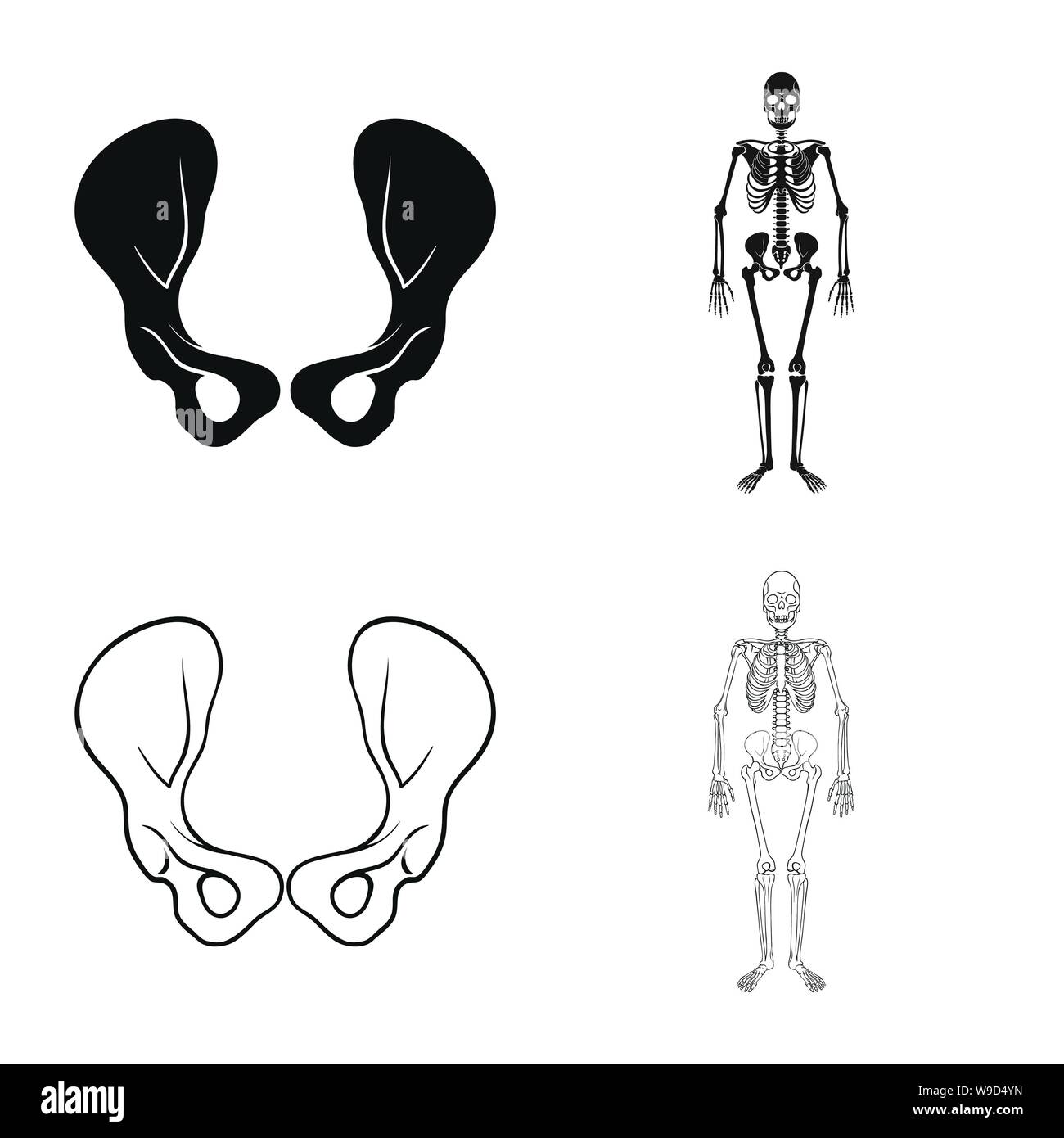 Vector Vectors Stock Vector Image & Art - Alamy