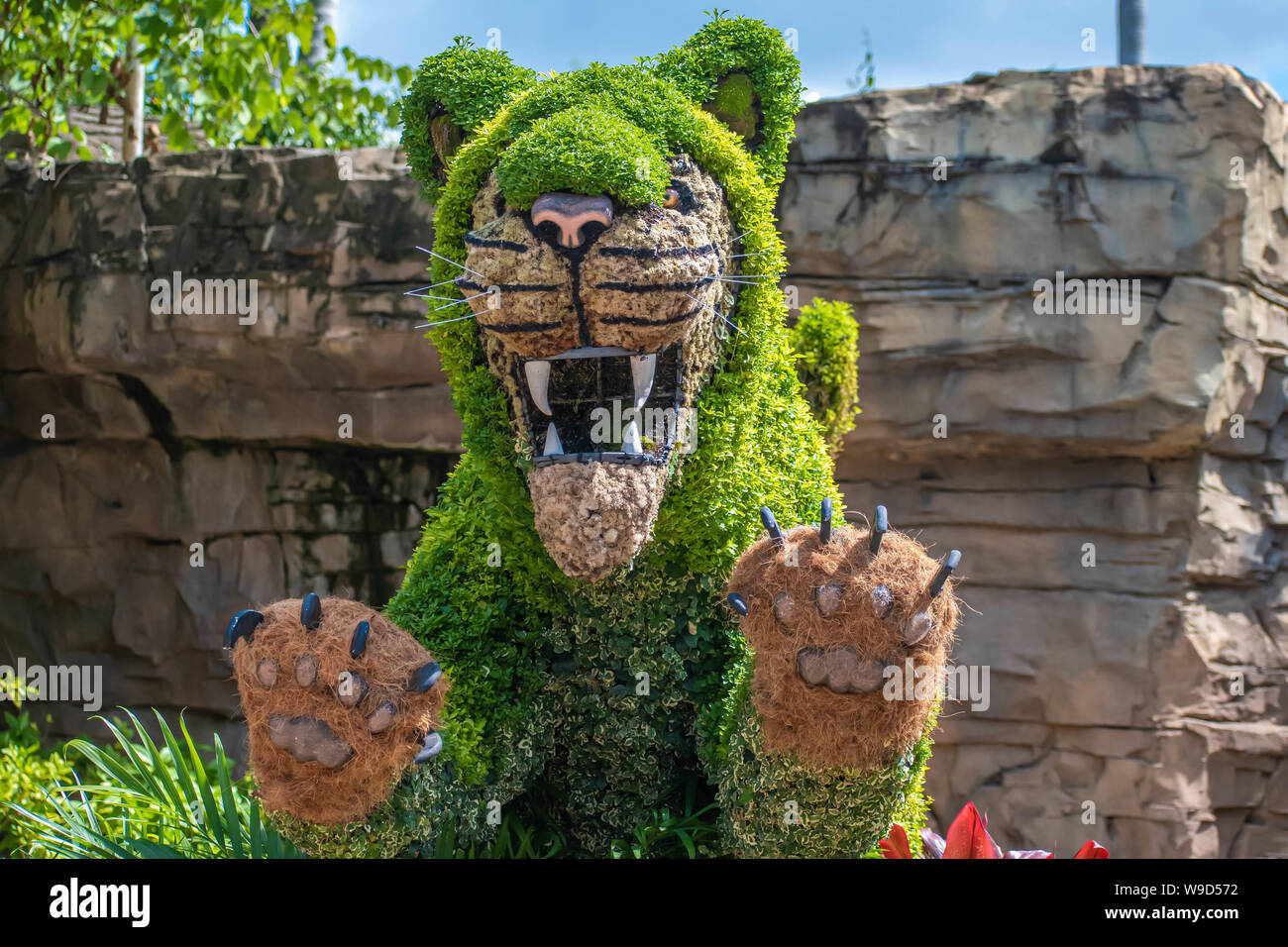 Busch gardens tiger hi-res stock photography and images - Alamy