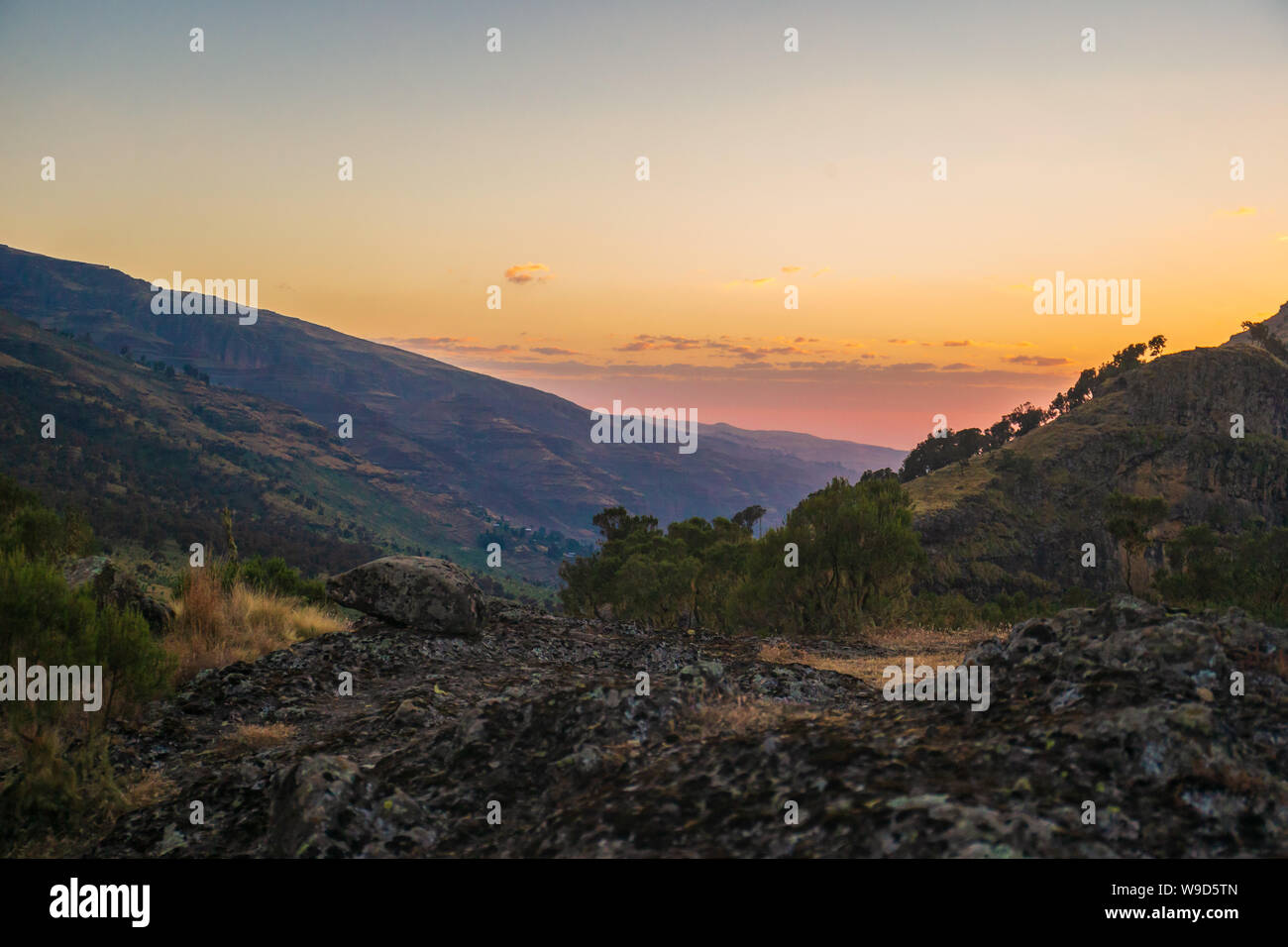 Simian hi-res stock photography and images - Alamy