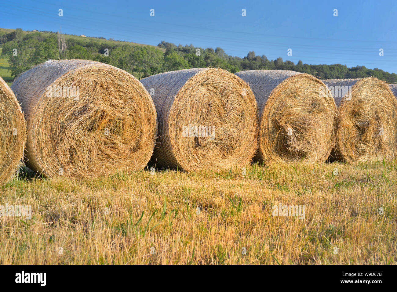 Bales in a line hi-res stock photography and images - Alamy