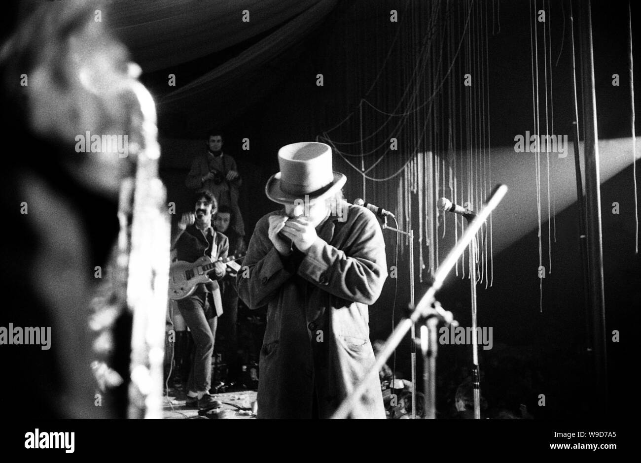 Beefheart hi-res stock photography and images - Alamy