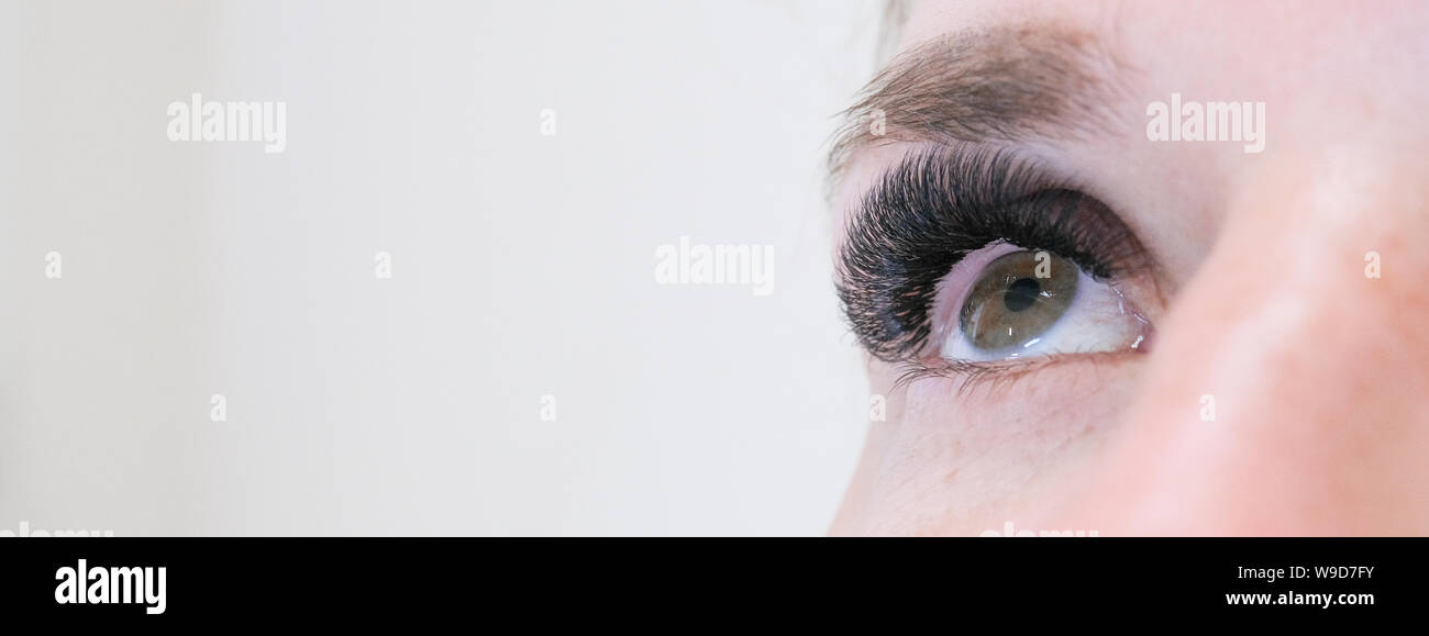 Extra wide banner woman Eye Long false Eyelashes close up. Space for ...
