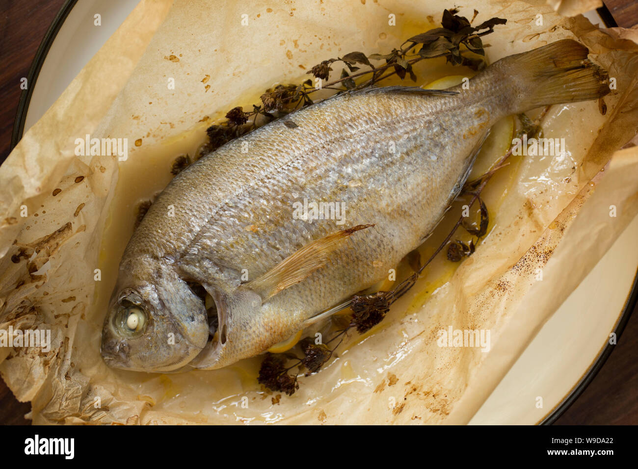 A Black Bream, Spondyliosoma cantharus, that has been cooked in a ...