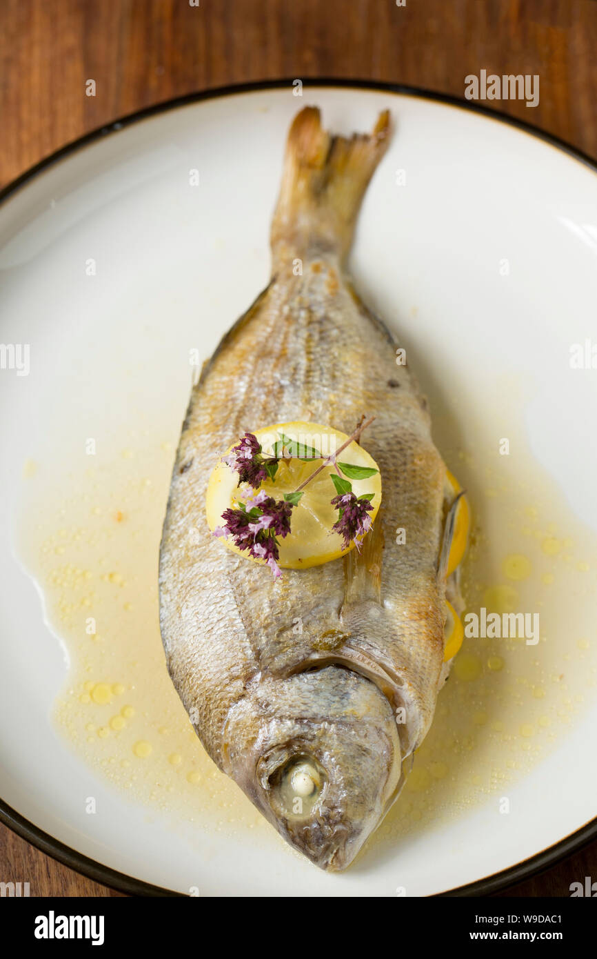 Black bream english channel hi-res stock photography and images - Alamy