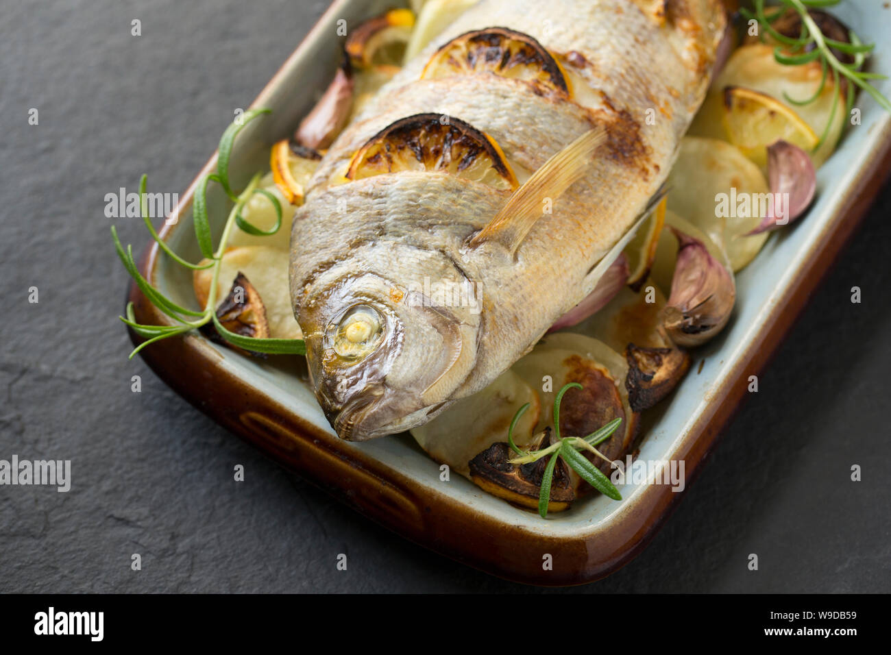 Black bream english channel hi-res stock photography and images - Alamy