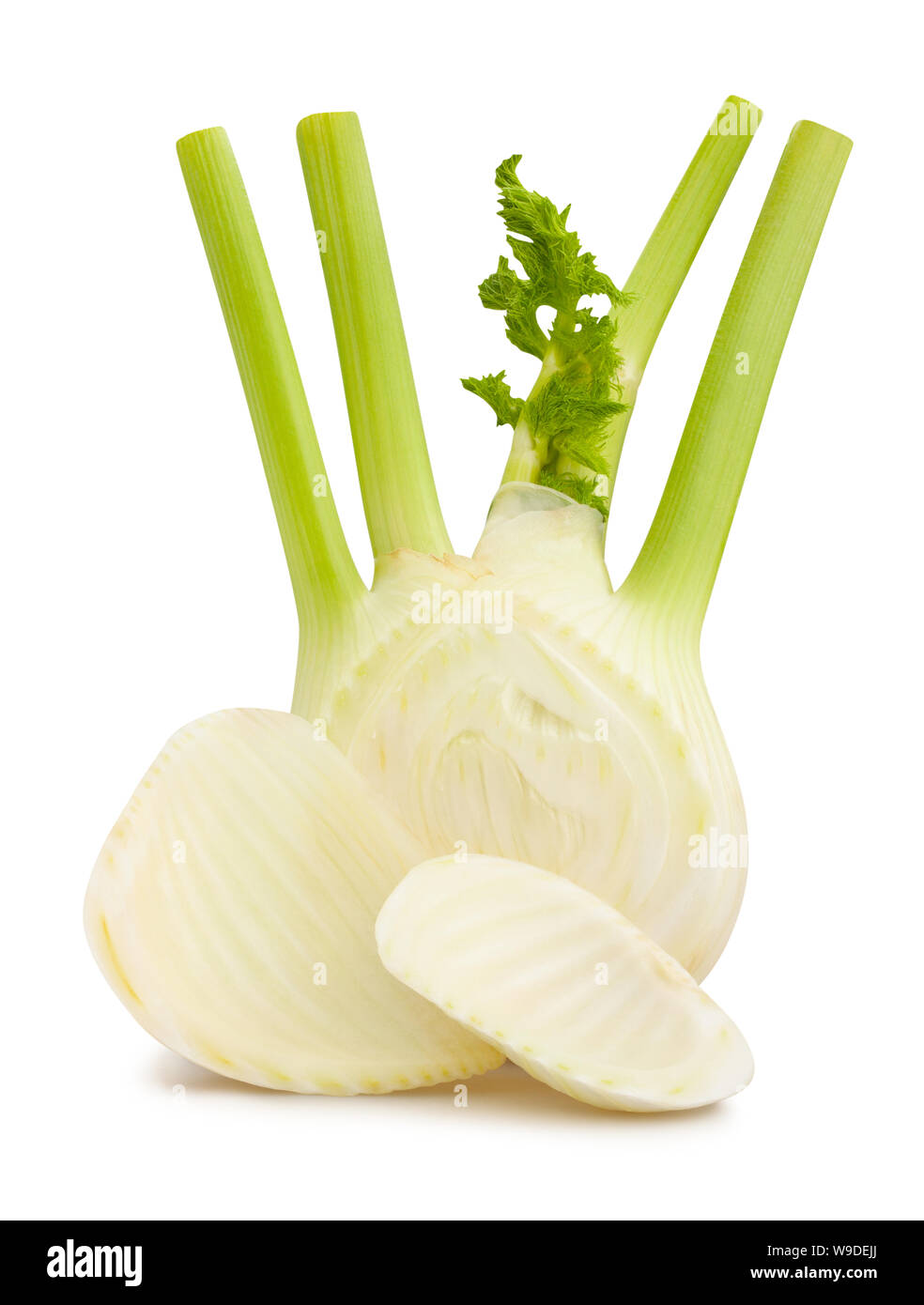 sliced fennel path isolated on white Stock Photo - Alamy