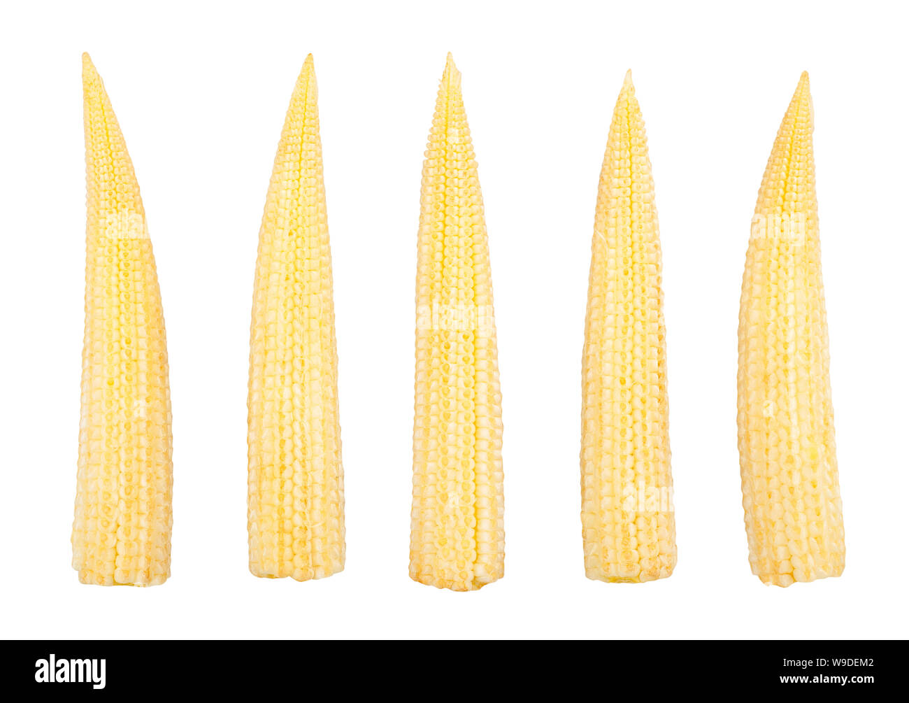 Fresh young baby corn hi-res stock photography and images - Alamy