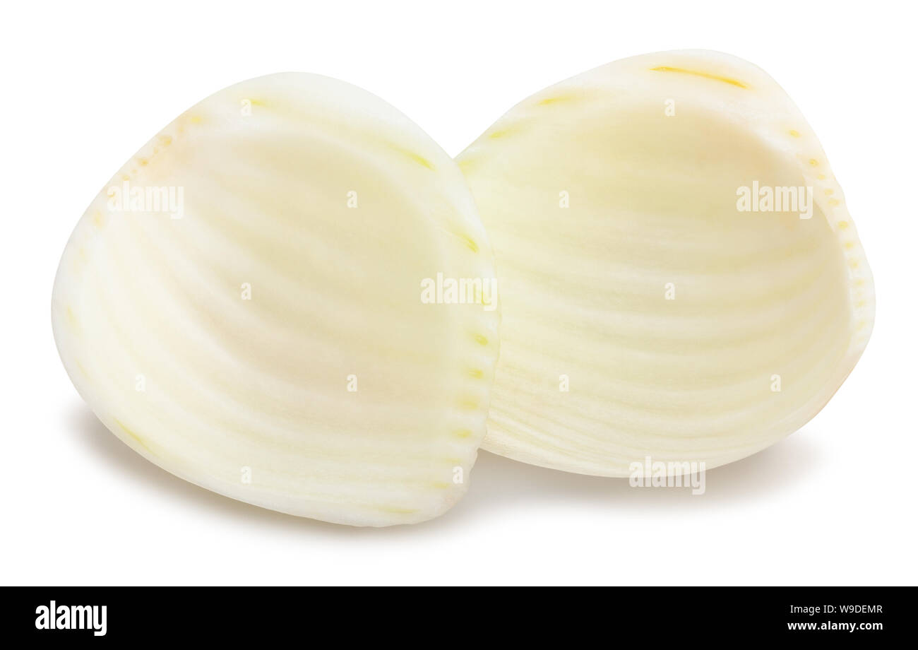 Sliced fennel hi-res stock photography and images - Alamy