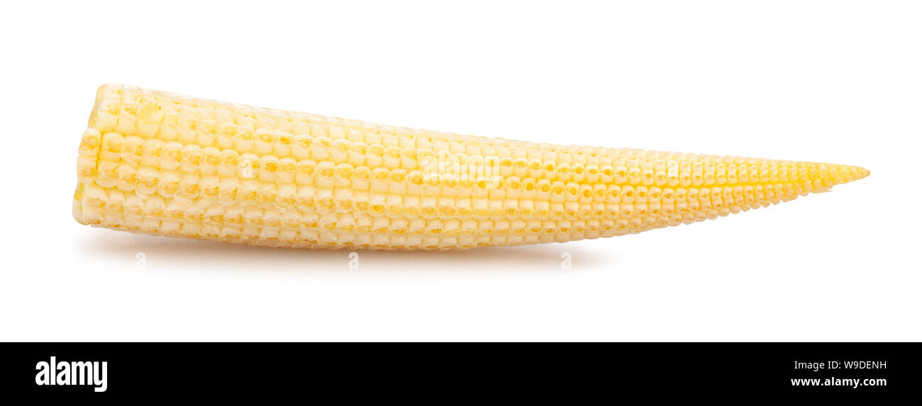 baby corn path isolated on white Stock Photo - Alamy