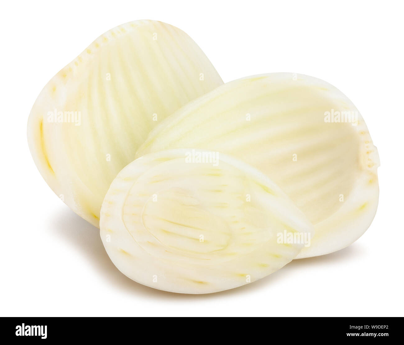 sliced fennel path isolated on white Stock Photo - Alamy