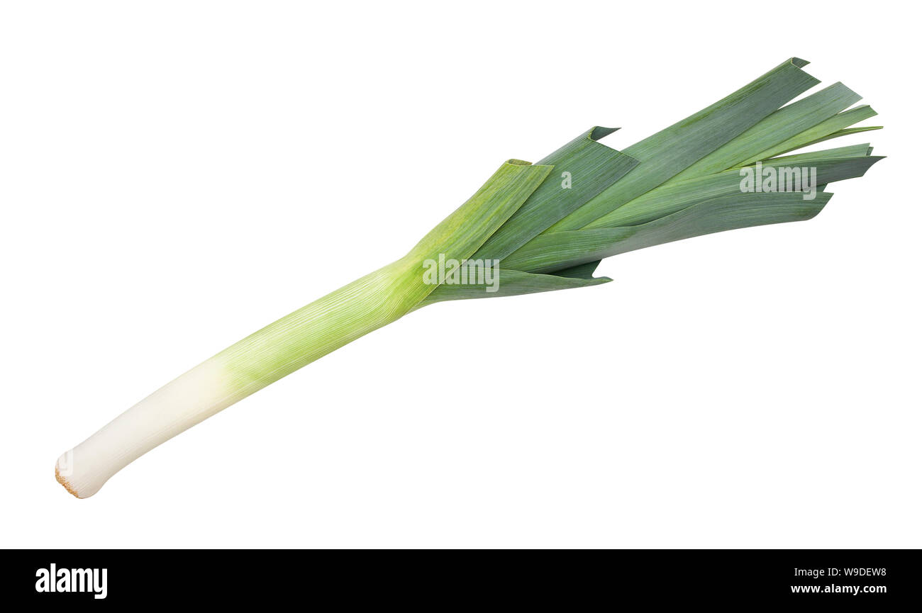 leek path isolated on white Stock Photo - Alamy