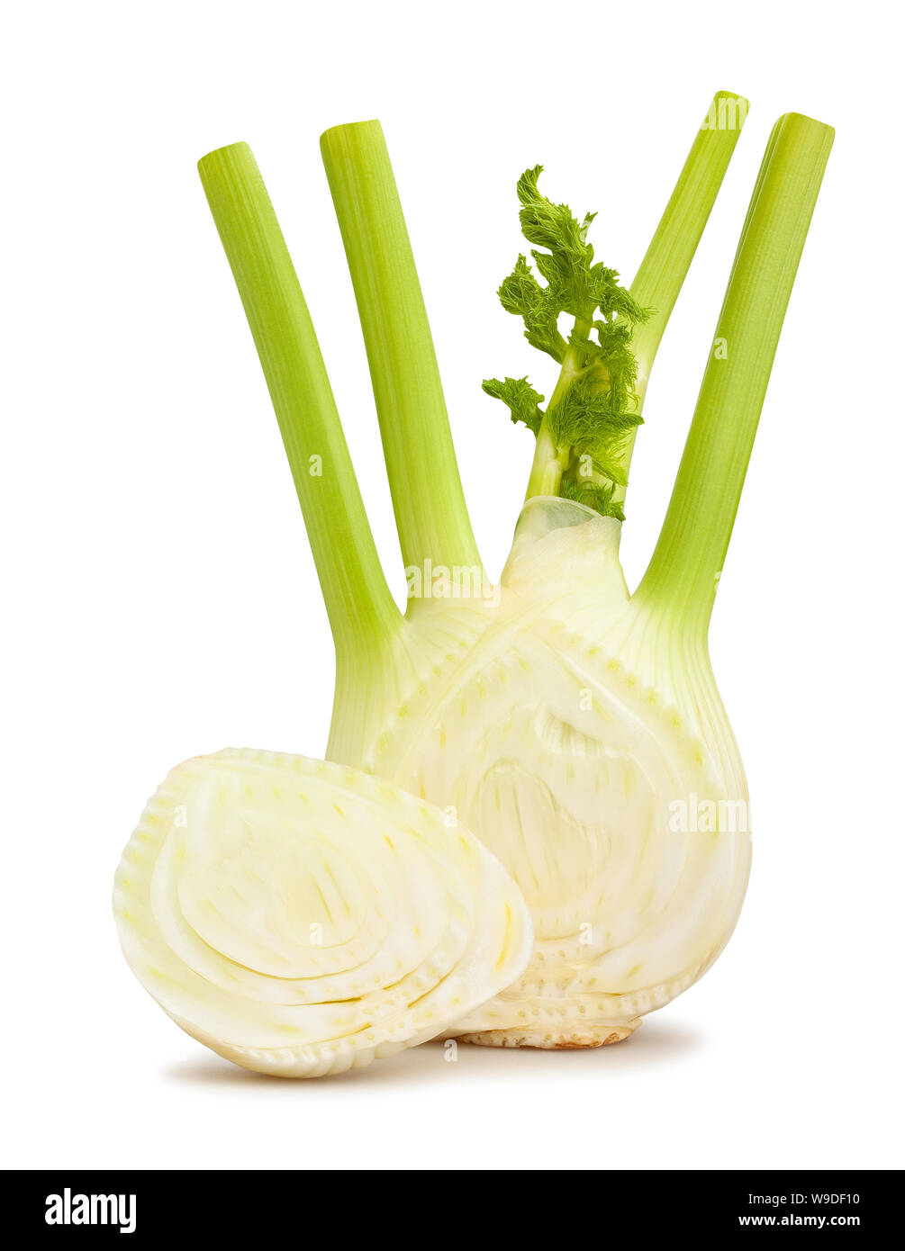 sliced fennel path isolated on white Stock Photo - Alamy
