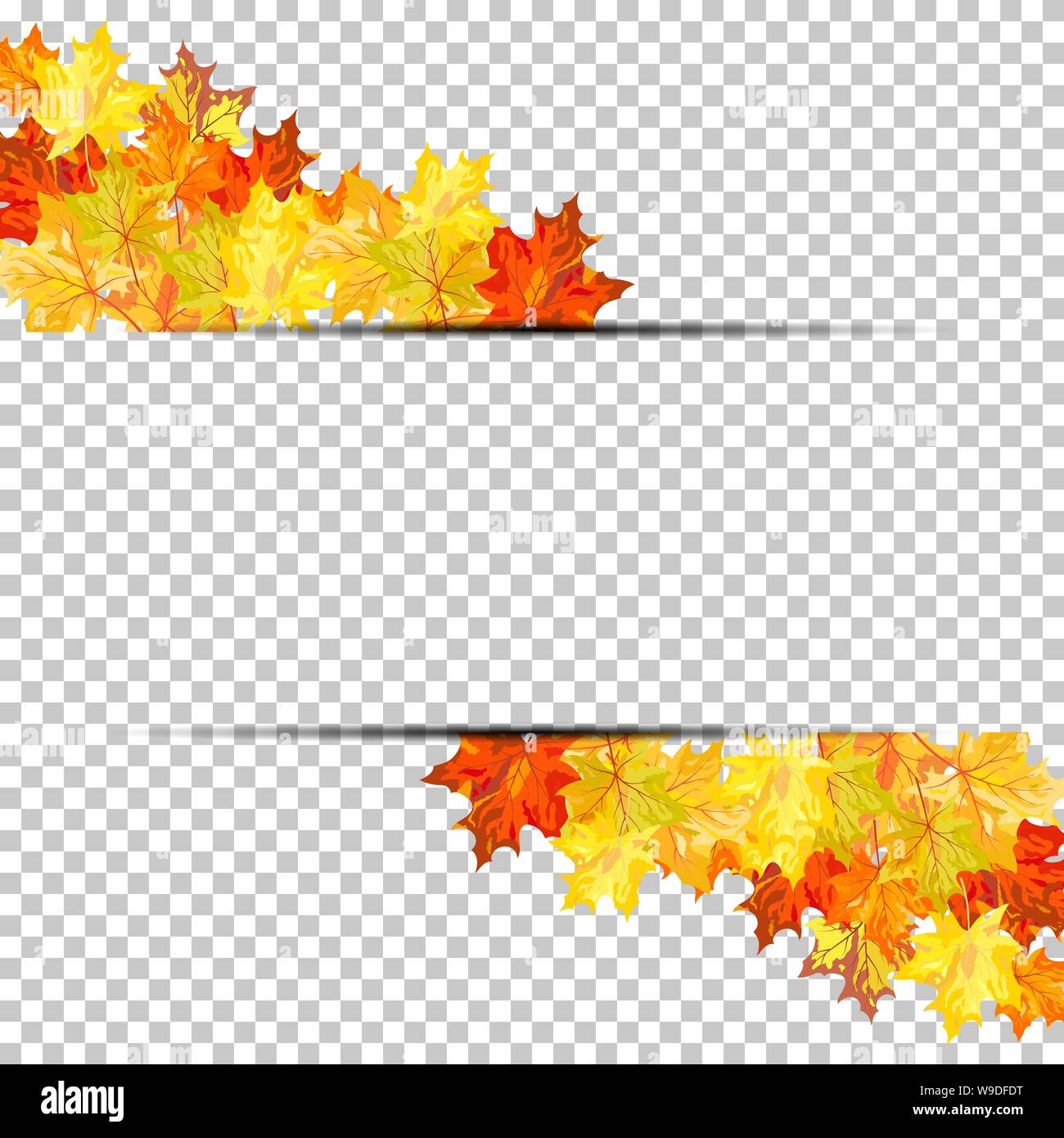 Fall (Autumn) Maple Background. Transparency Grid Design. Vector ...