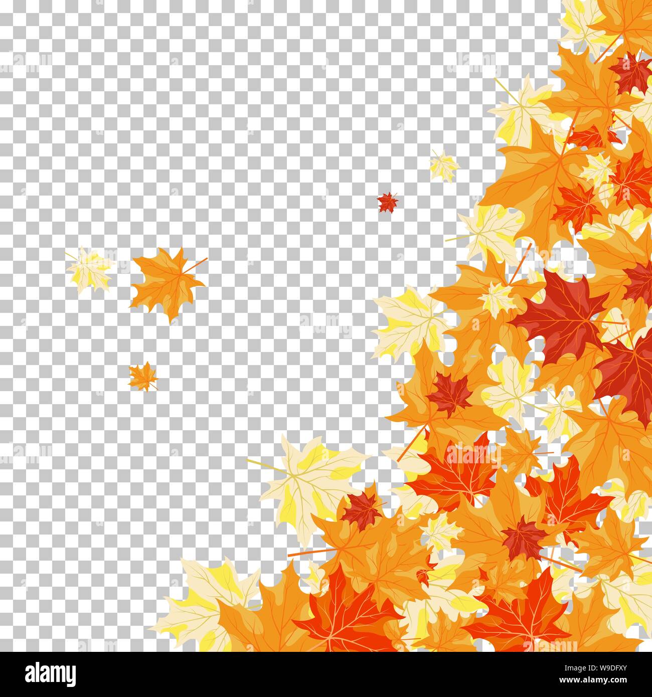 Fall (Autumn) Maple Background. Transparency Grid Design. Vector ...