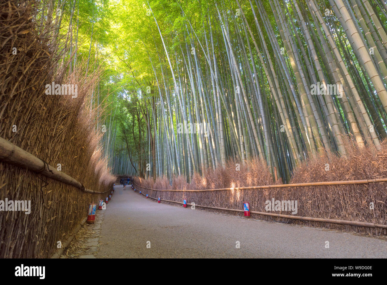 Tokyo nature hi-res stock photography and images - Alamy