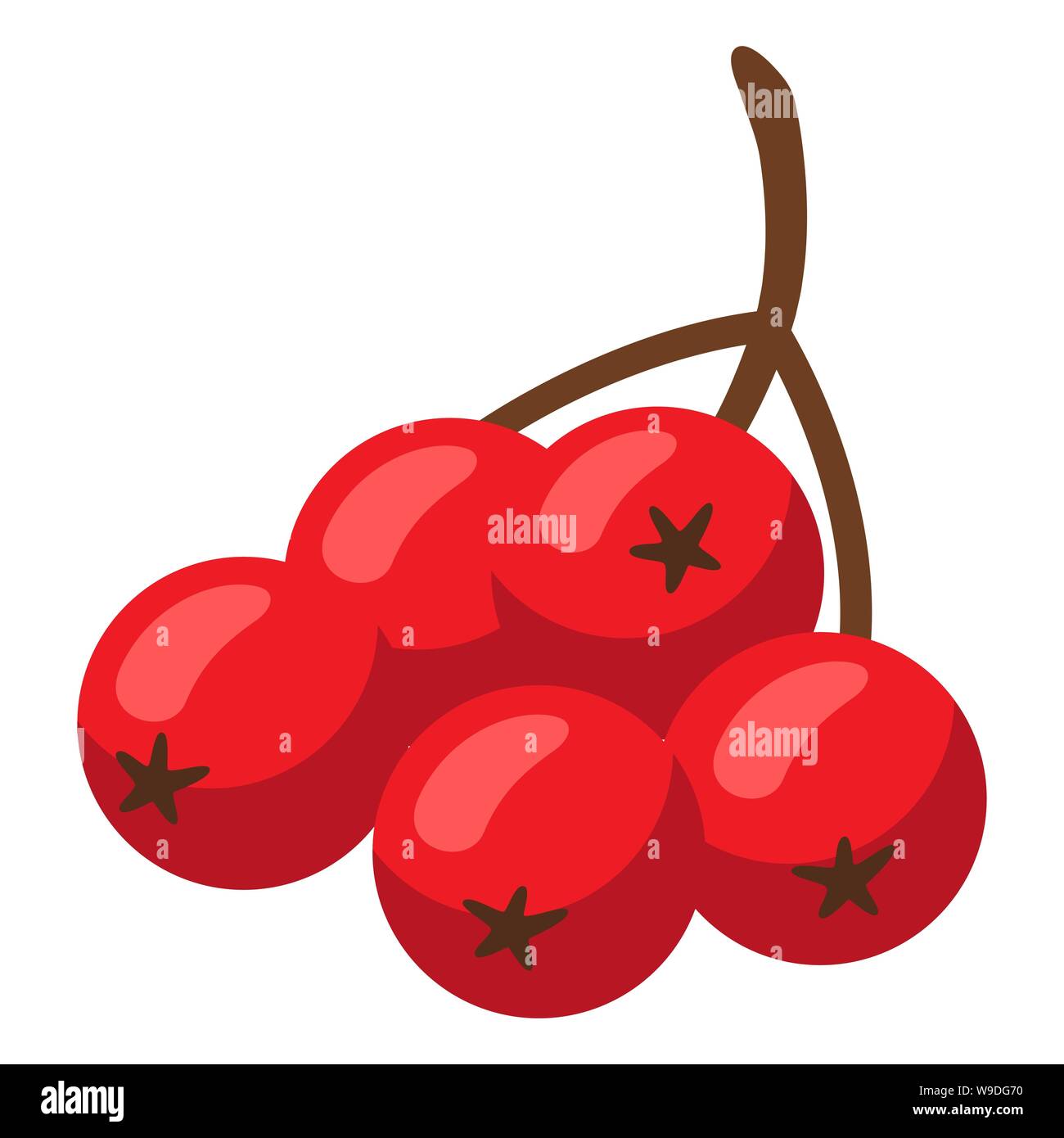 Cartoon illustration of ripe cranberries Stock Vector Image & Art - Alamy