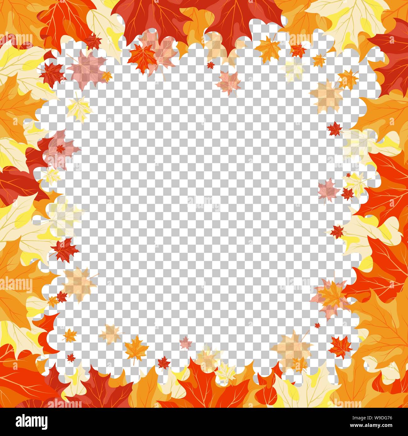 Fall (Autumn) Maple Background. Transparency Grid Design. Vector ...