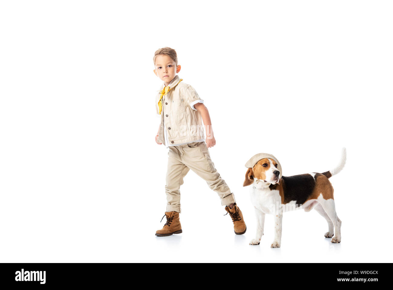 full length view of explorer kid and beagle dog in hat on white Stock ...