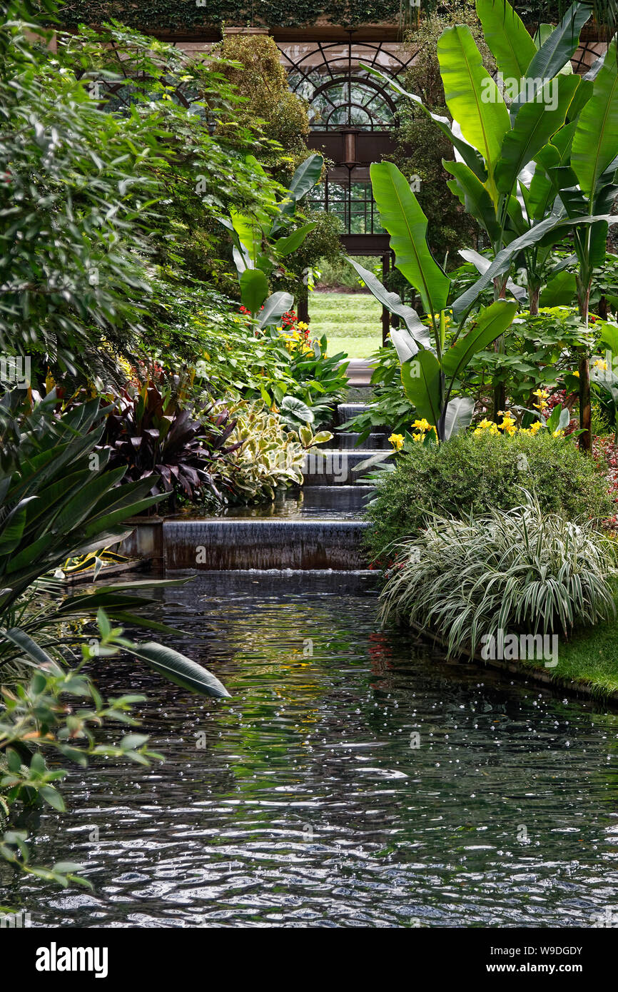 East Conservatory; indoor garden scene, plants, shrubs, flowers, open ...