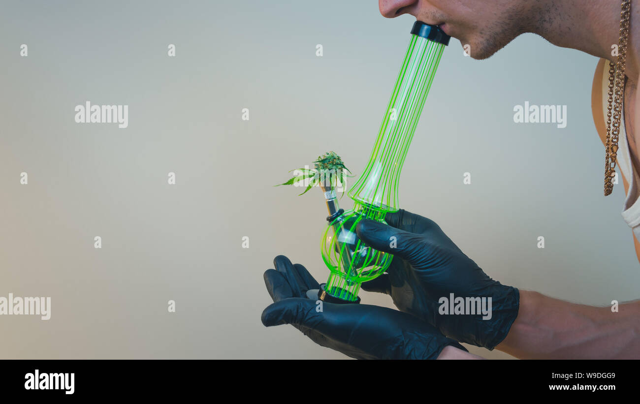 The person hold in his hand bong with fresh medical marijuana buds ...
