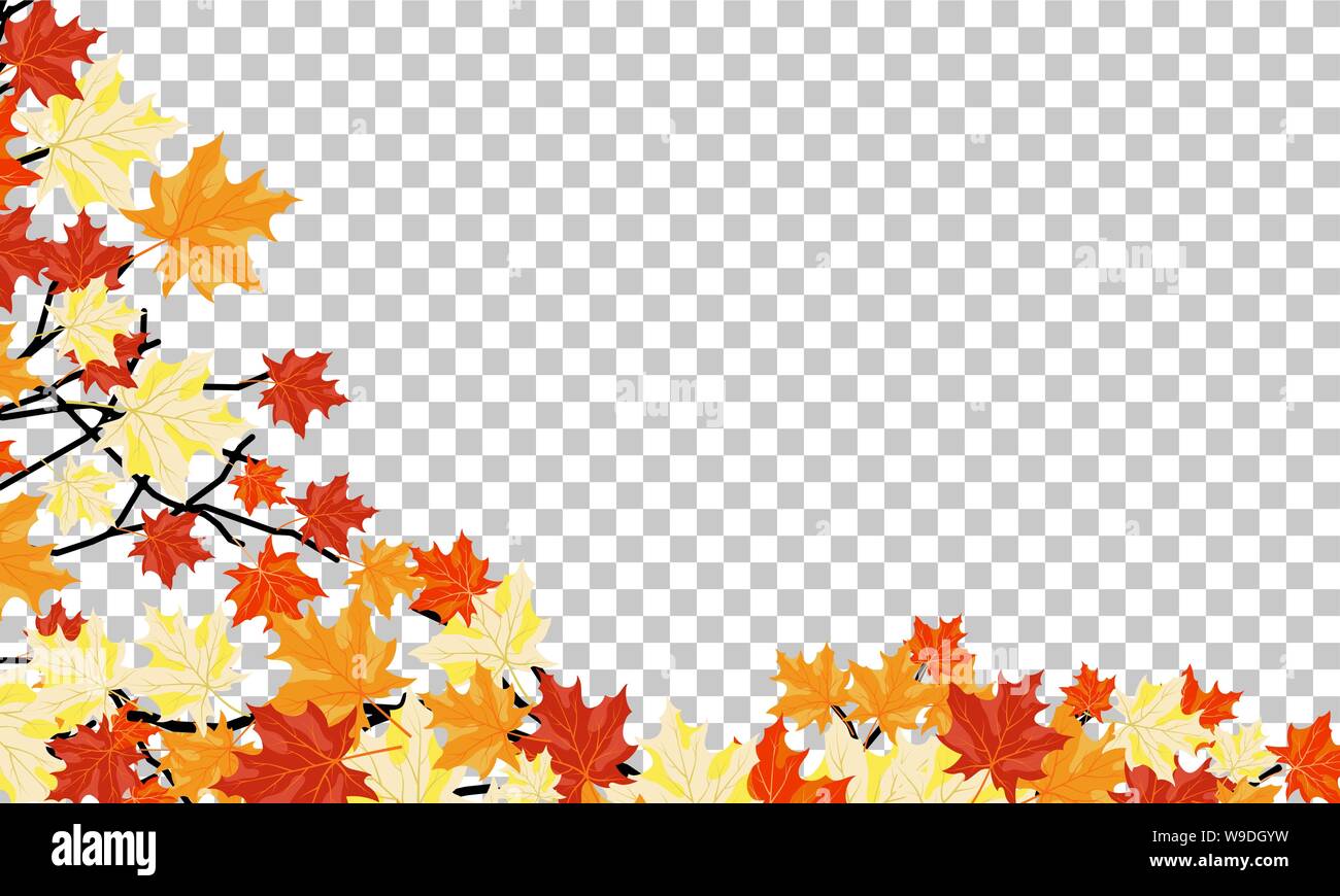 Fall (Autumn) Maple Background. Transparency Grid Design. Vector ...