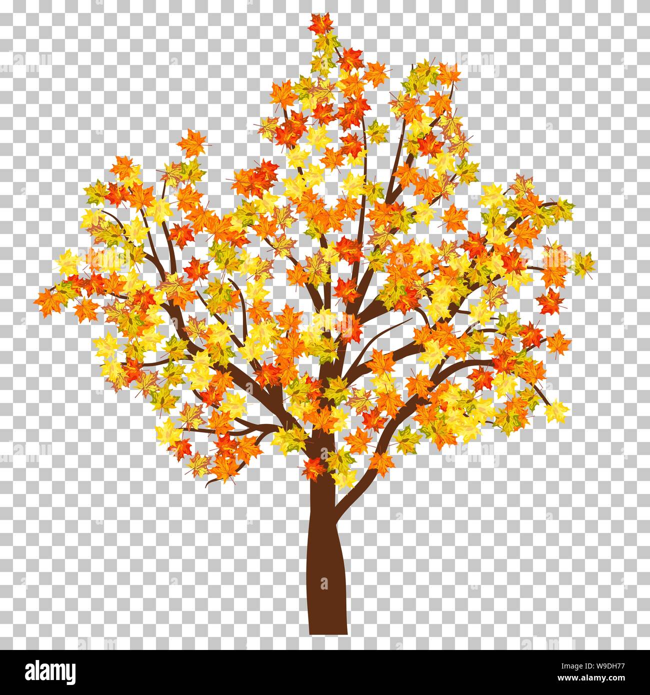Fall (Autumn) Maple Background. Transparency Grid Design. Vector ...