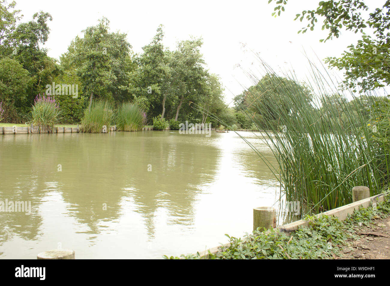 Broxbourne Nature Reserve High Resolution Stock Photography and Images ...