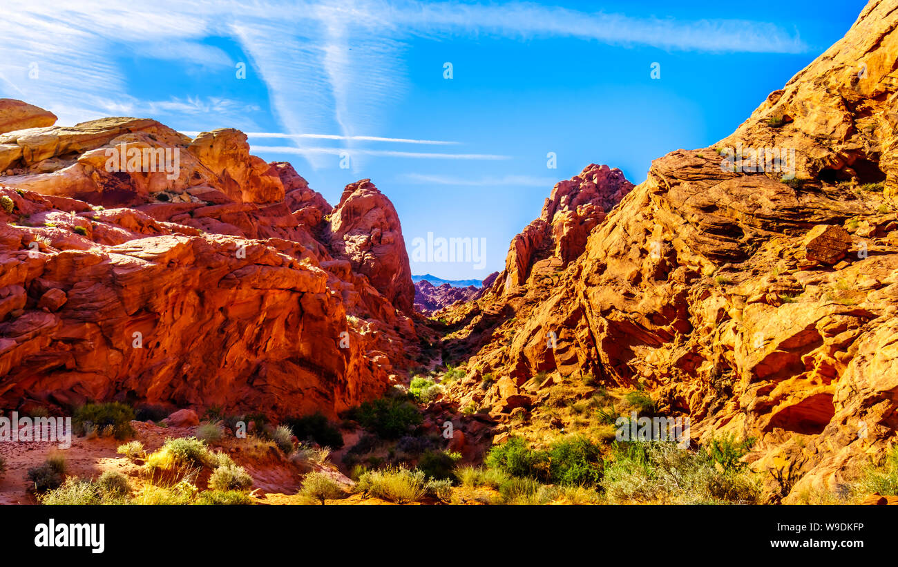 Red Aztec Sandstone Mountains at Sunrise on the Rainbow Vista Trail in ...