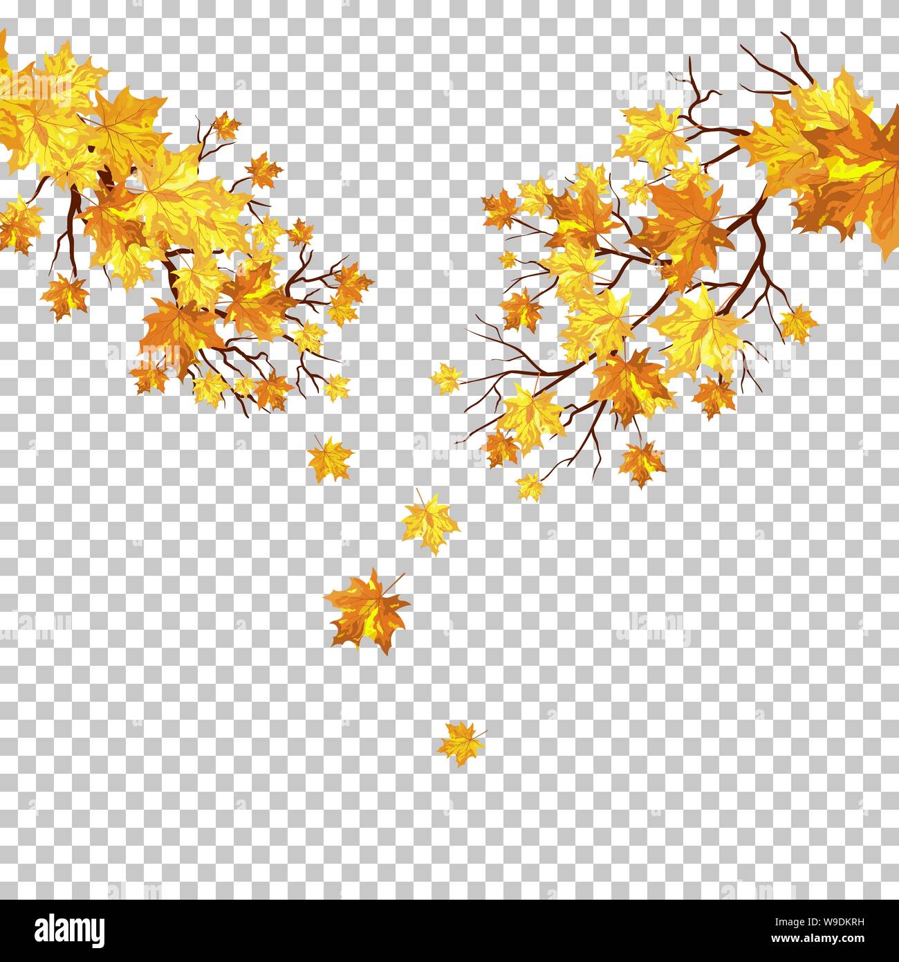 Fall (Autumn) Maple Background. Transparency Grid Design. Vector ...
