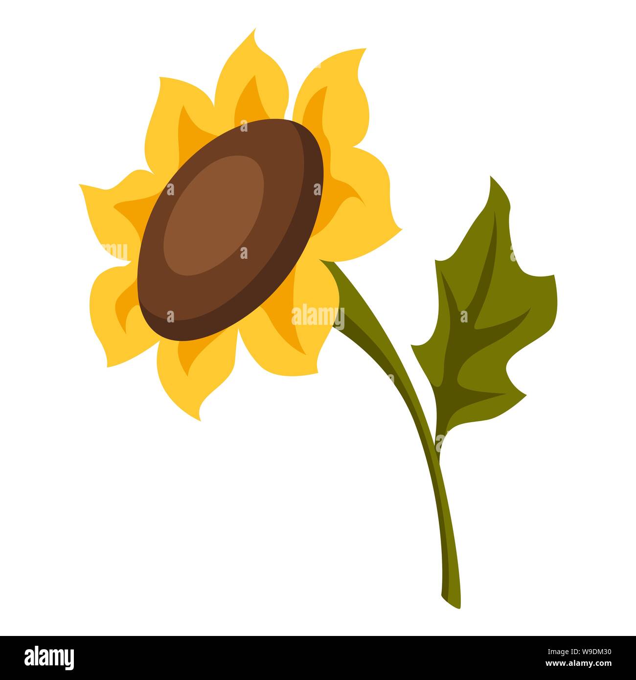 Sunflower yellow flower closeup Stock Vector Images - Alamy