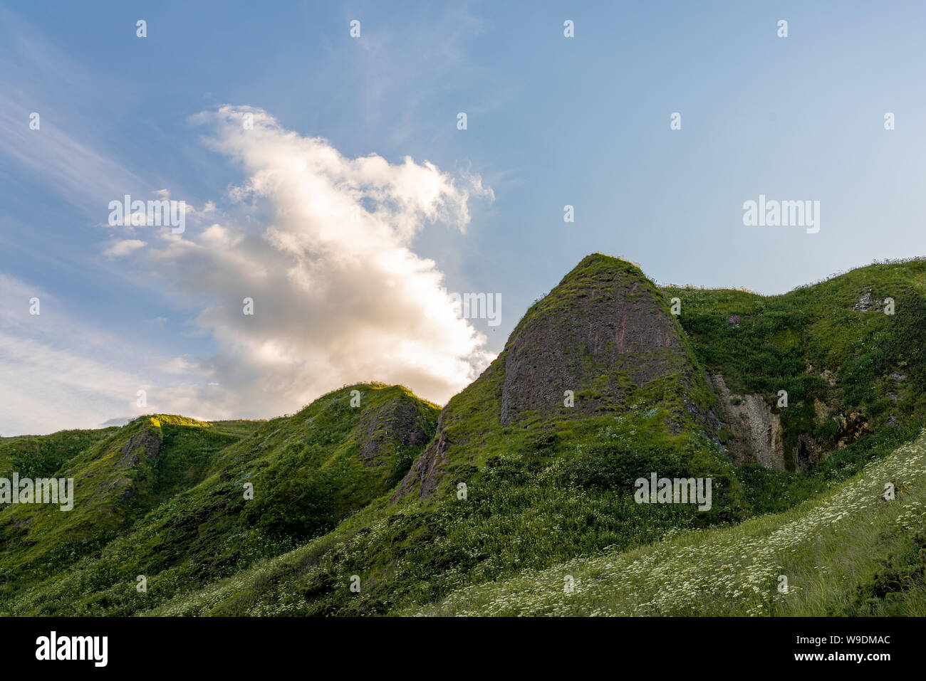 Scottish cliff hi-res stock photography and images - Alamy