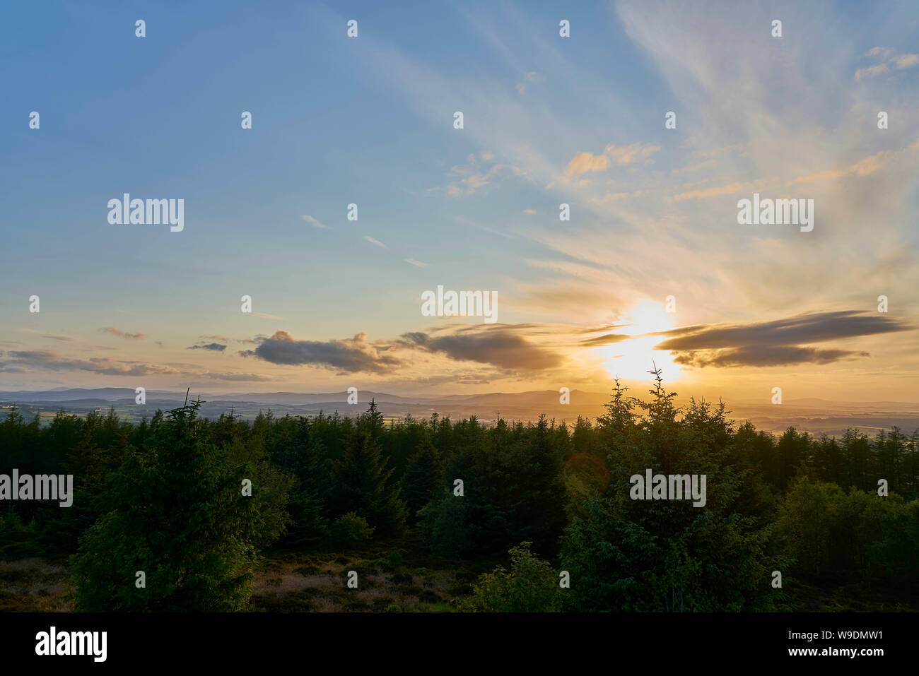 Forest sunset in scotland hi-res stock photography and images - Alamy
