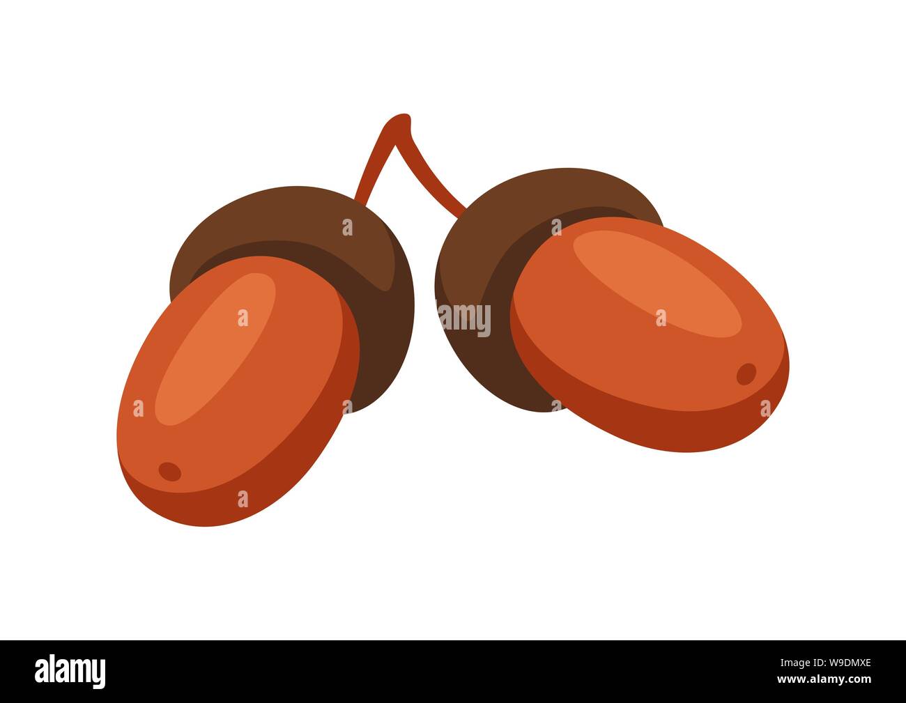Cartoon illustration of ripe acorns Stock Vector Image & Art - Alamy