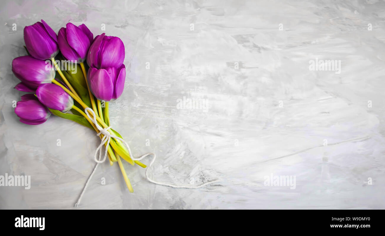 Top view background of bouquet of vibrant violet colored tulips on grey ...