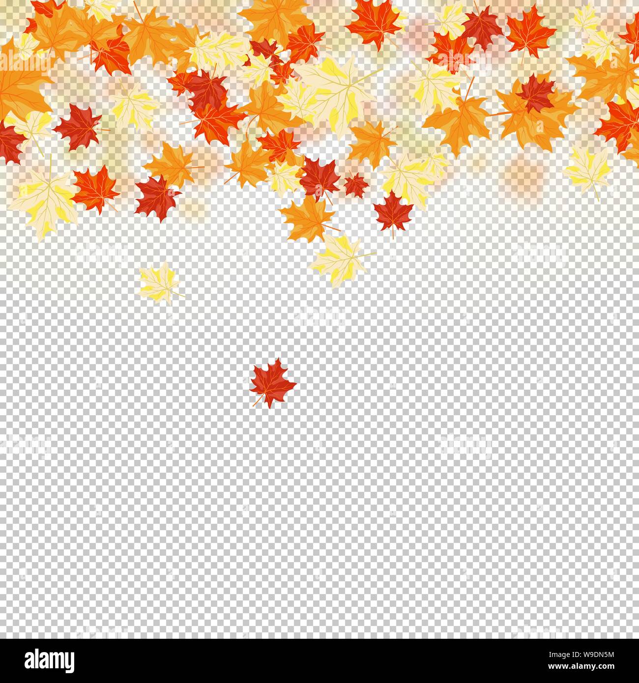 Fall (Autumn) Maple Background. Transparency Grid Design. Vector ...