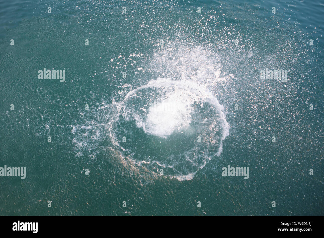 big white splash in lake water view from above Stock Photo - Alamy